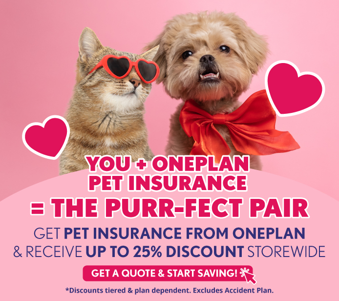 Onepet Store